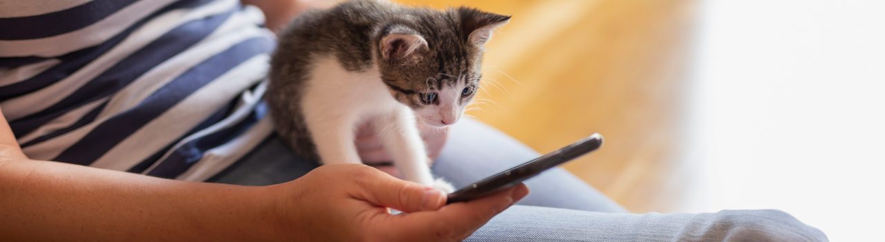 Contact Us For Any Enquires You Have - Allianz and Standard Chartered HK